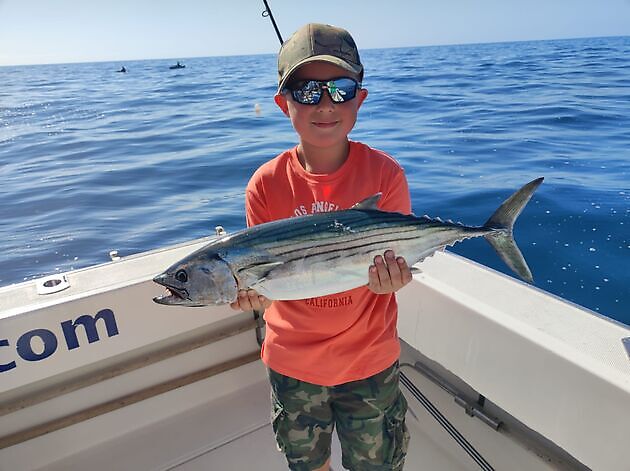 Page 11 Latest news - White Marlin Gran Canaria